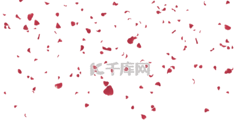 飘落的花瓣GIF动画-GIF素材免费下载-飘落的花瓣GIF图片制作素材库-千库网