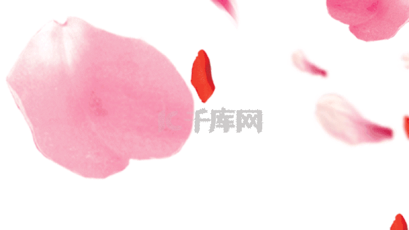 飘落的花瓣GIF动画-GIF素材免费下载-飘落的花瓣GIF图片制作素材库-千库网