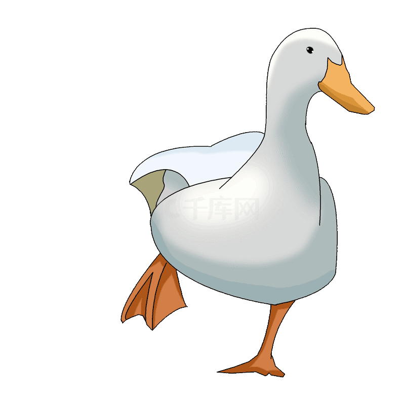 小物夜莺动物素材图片免费下载-千库网