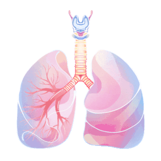 医学GIF动图-医学GIF图片制作素材下载-千库网