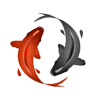 太极gif图片_太极gif素材_千库网