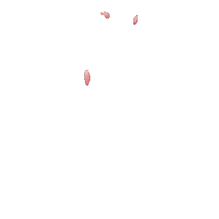 氛围花瓣漂浮装饰素材-氛围花瓣漂浮装饰GIF模板下载-千库网