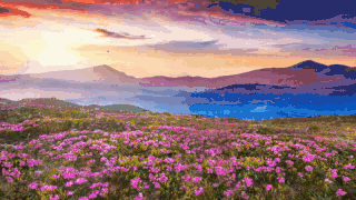 映山红设计素材-映山红模板设计-海报图片下载-千库网