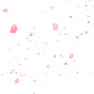 花瓣环绕图片-花瓣环绕GIF素材-花瓣环绕模板图片下载-千库网