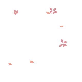 花瓣落下设计素材-花瓣落下模板设计-海报GIF图片下载-千库网