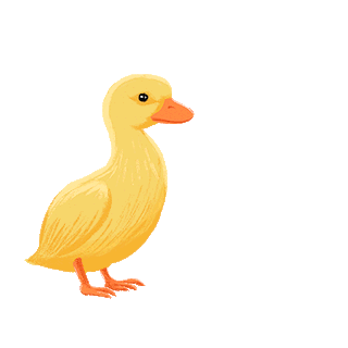 小鸭子图片-小鸭子素材-小鸭子模板图片下载-千库网