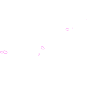 樱花绿幕飘落图片-樱花绿幕飘落GIF素材-樱花绿幕飘落模板图片下载-千库网