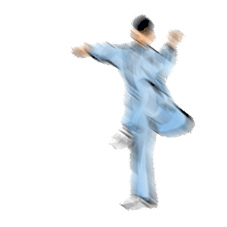 太极gif图片_太极gif素材_千库网