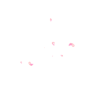 春天飘落的花瓣花朵花漂浮粉色gif图素材gif图片素材下载-千库网